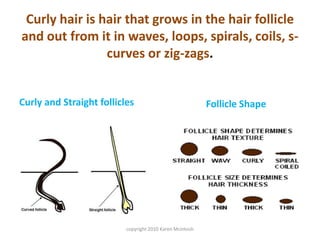 Curly Hair Follicle
