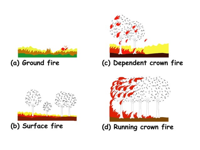 Natural hazards wildfires | PDF