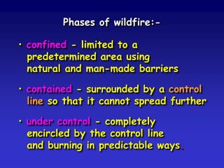Natural hazards wildfires | PDF