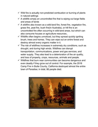 Natural Hazards ( Drought, wild fire, urban fire).docx