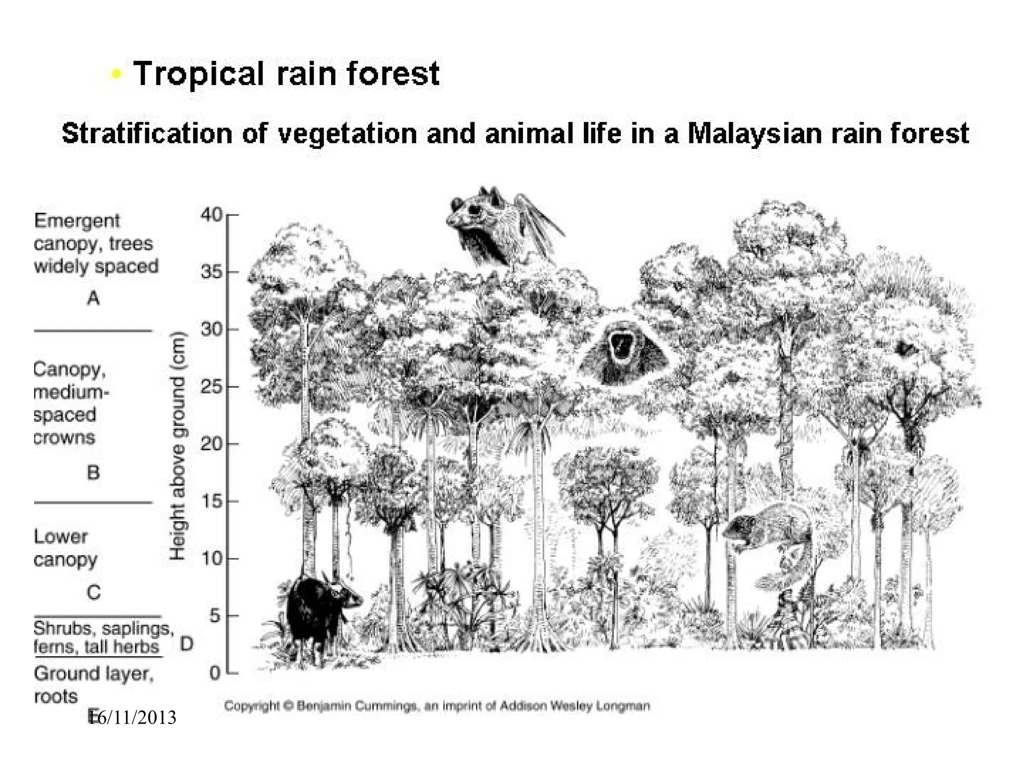 Natural heritage tipe bioma di dunia.pptx