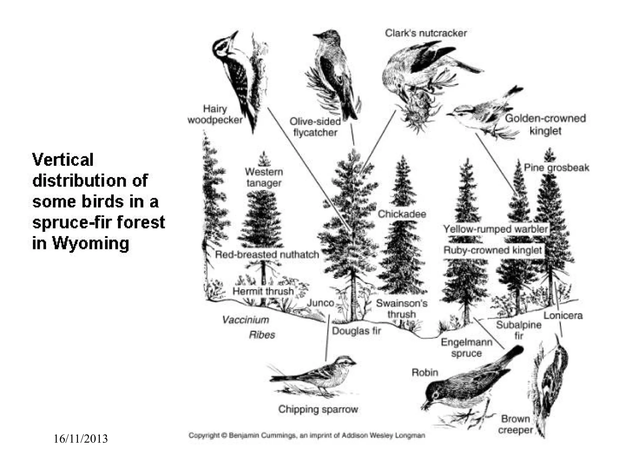 Natural heritage tipe bioma di dunia.pptx