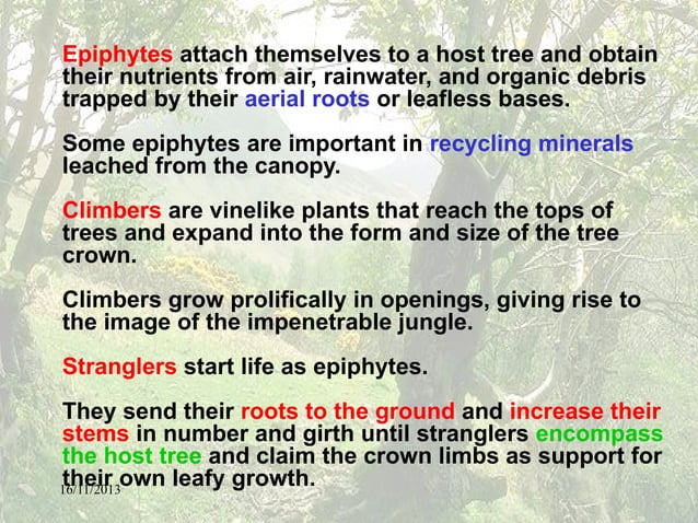 Natural heritage tipe bioma di dunia.pptx