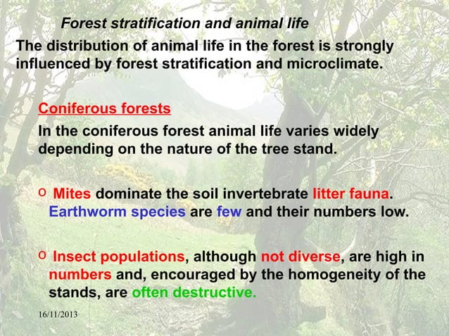 Natural heritage tipe bioma di dunia.pptx