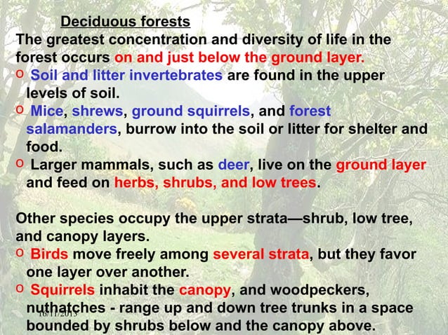 Natural heritage tipe bioma di dunia.pptx