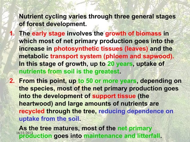 Natural heritage tipe bioma di dunia.pptx
