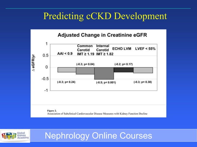 CKD Natural History 2014 | PPTX