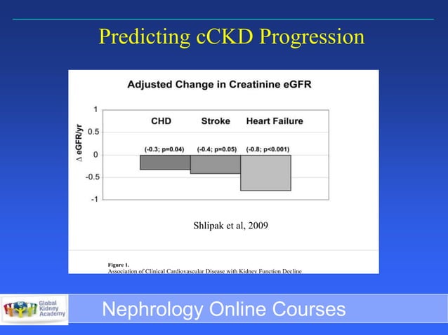 CKD Natural History 2014 | PPTX