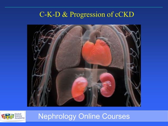 CKD Natural History 2014 | PPTX