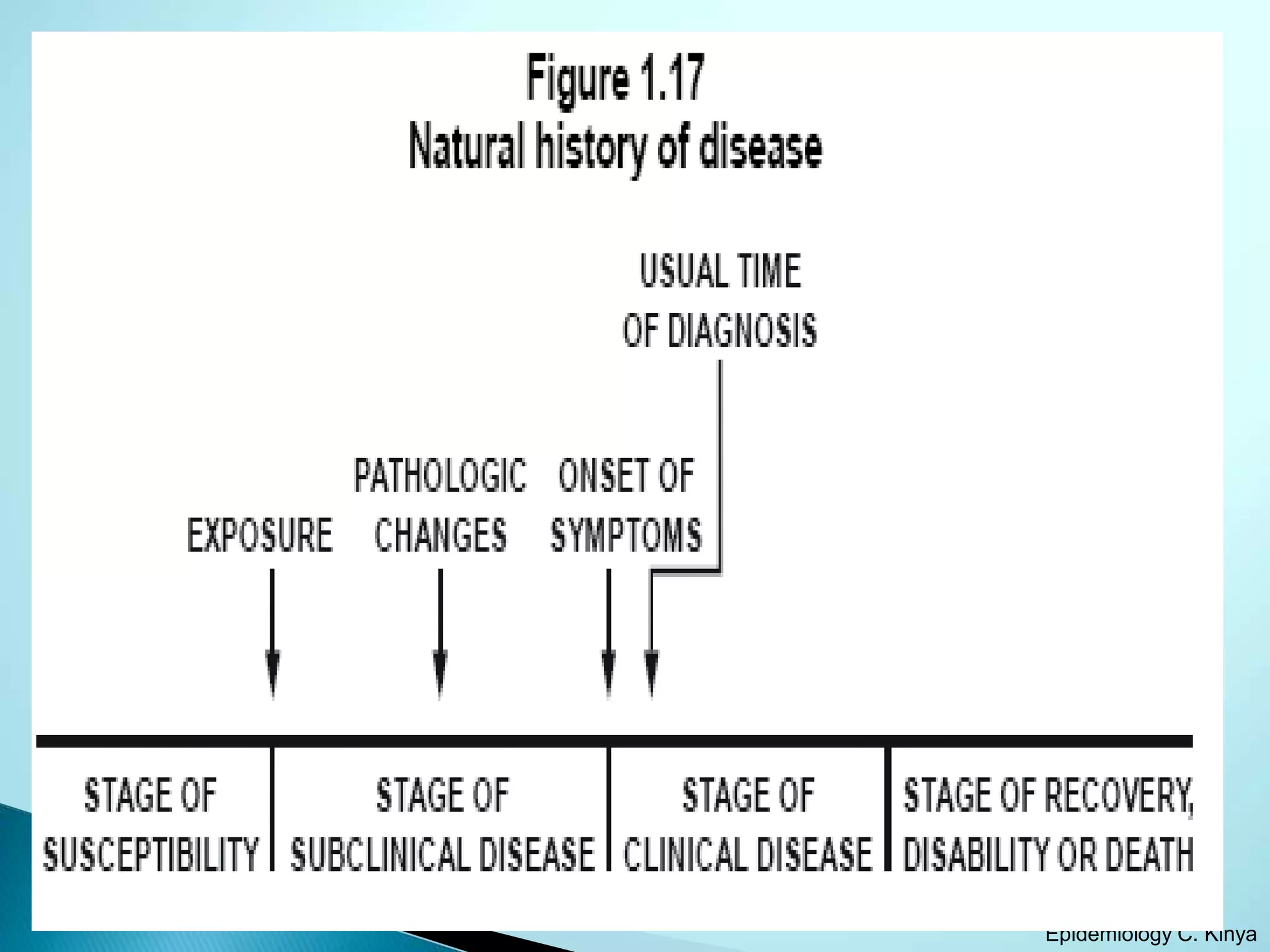 Natural History and Spectrum of Disease lecture 4.ppt