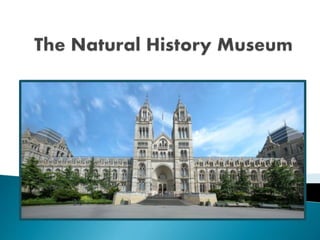 Natural history museum powerpoint | PPTX