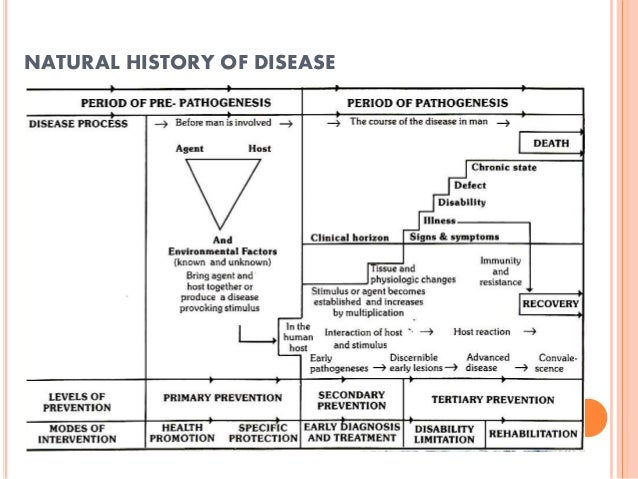 Natural history of disease