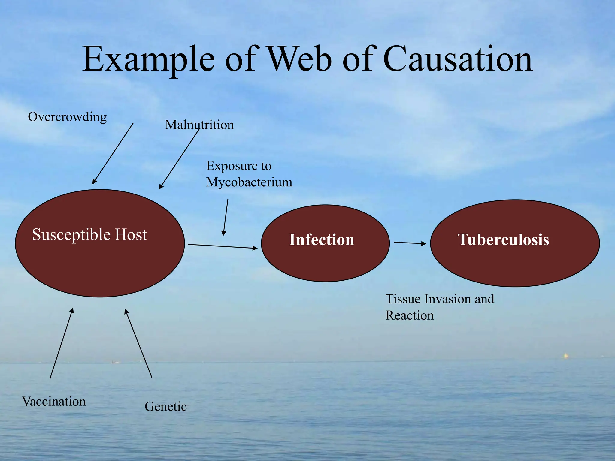 Natural history of disease in epidemiology.pptx