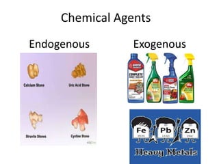 Natural history of diseases | PPTX