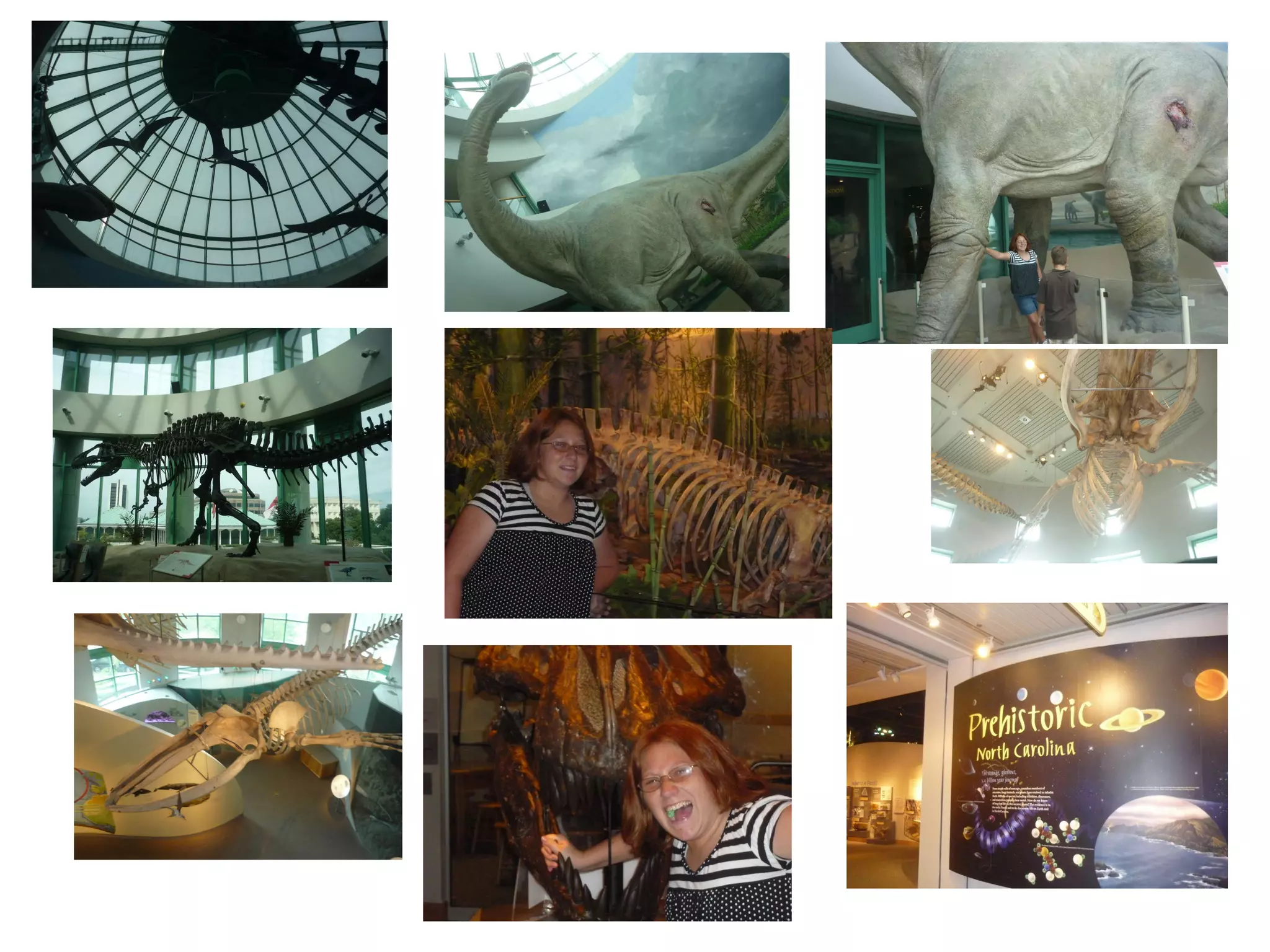 Natural Histry Musuem | PPT