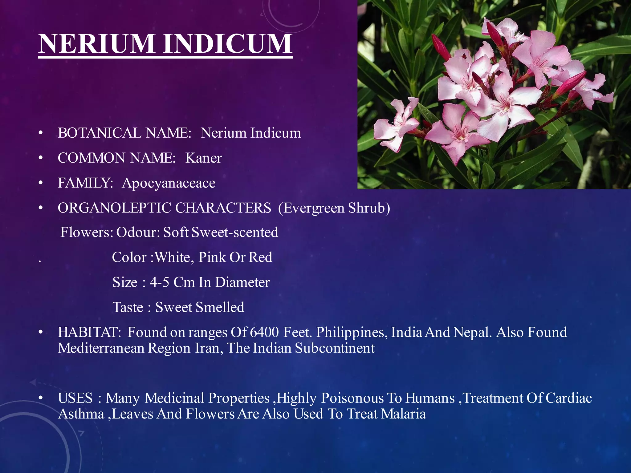 Natural Indicator Preparation | PDF