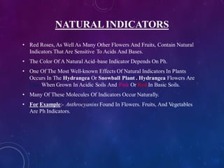 Natural Indicator Preparation | PDF