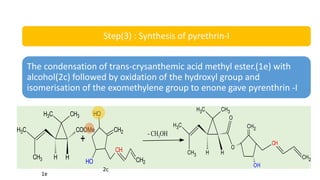 Natural insecticides .pptx