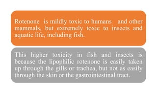 Natural insecticides .pptx