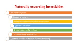 Natural insecticides .pptx