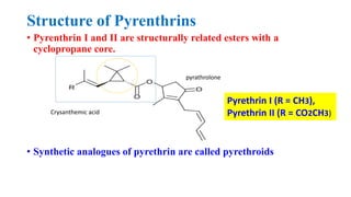 Natural insecticides .pptx