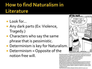 Naturalism: Explained | PPTX