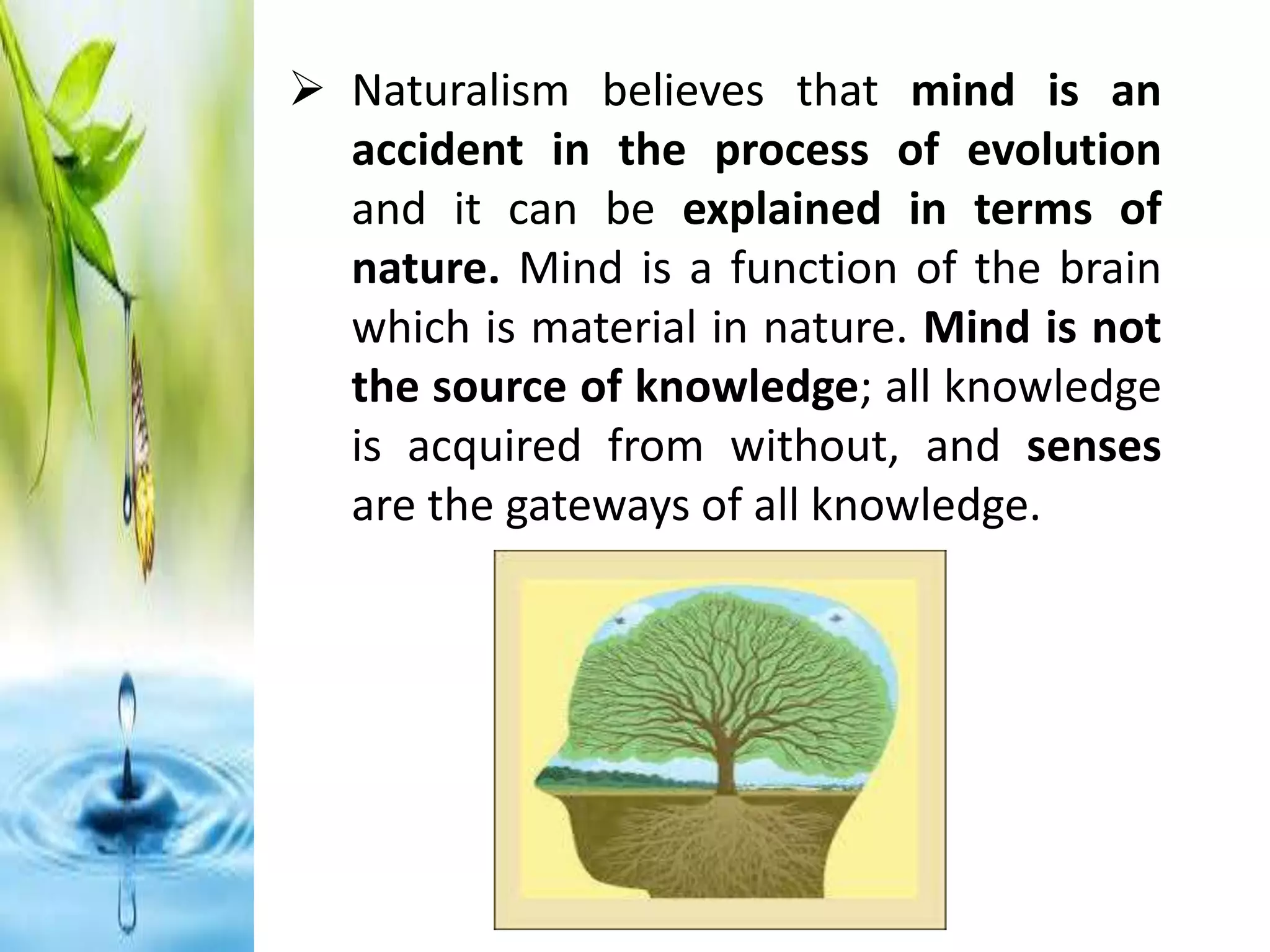 Philisophy of Naturalism | PPTX