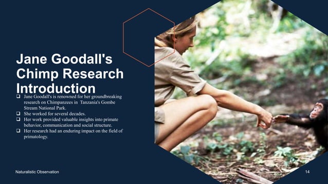 Naturalistic Observation Pesentationpptx Biological Sciences Science