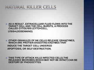 Natural killer cells | PDF