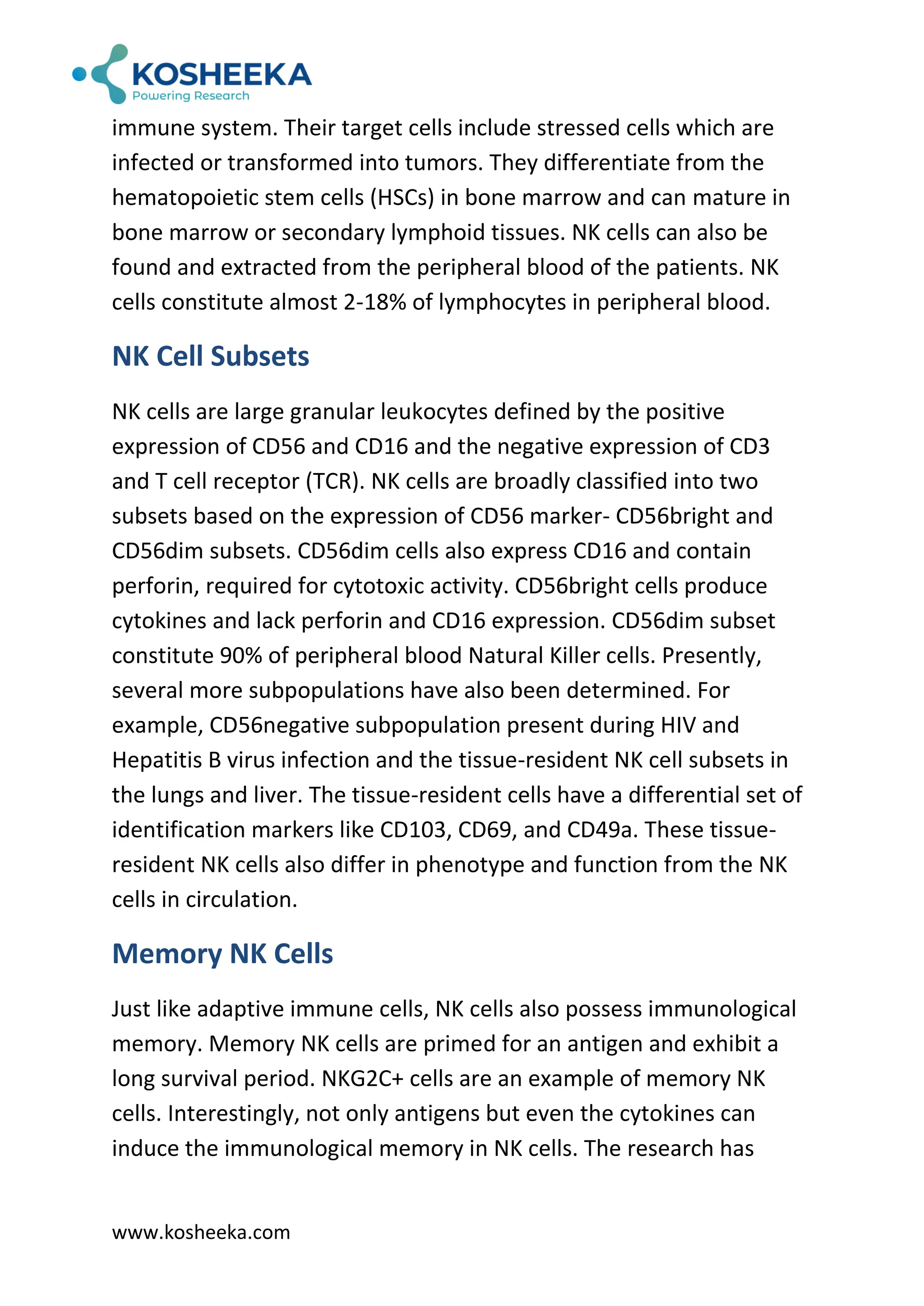 Natural Killer Cells: The Body’s Immune Sentinels | PDF