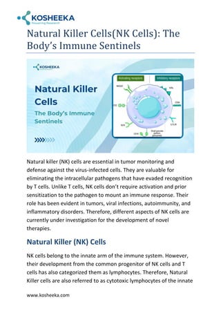 Natural Killer Cells: The Body’s Immune Sentinels | PDF