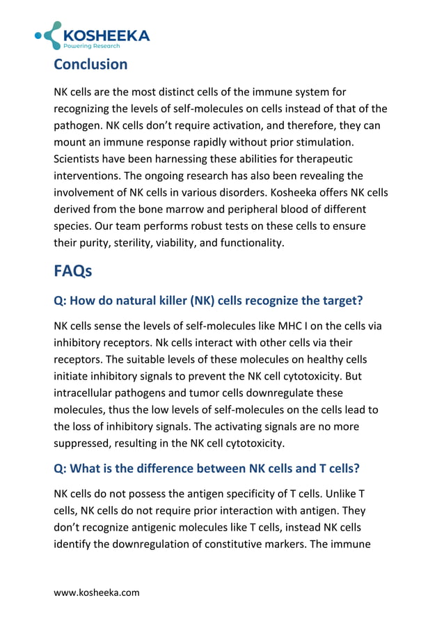 Natural Killer Cells: The Body’s Immune Sentinels | PDF