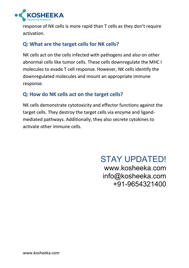 Natural Killer Cells: The Body’s Immune Sentinels | PDF