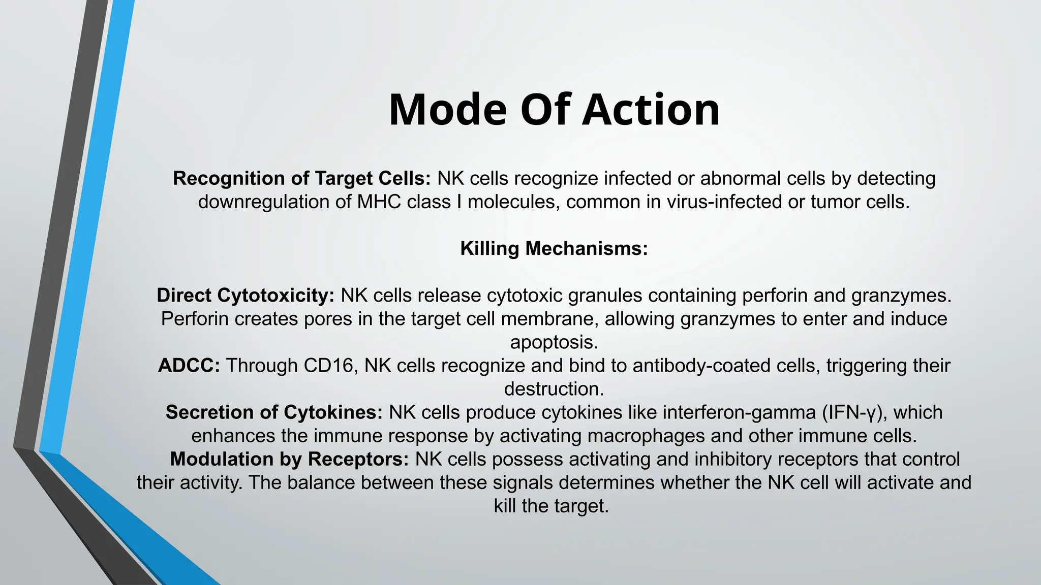 Natural Killer Cells (NK Cell).pptx immunology | PPTX