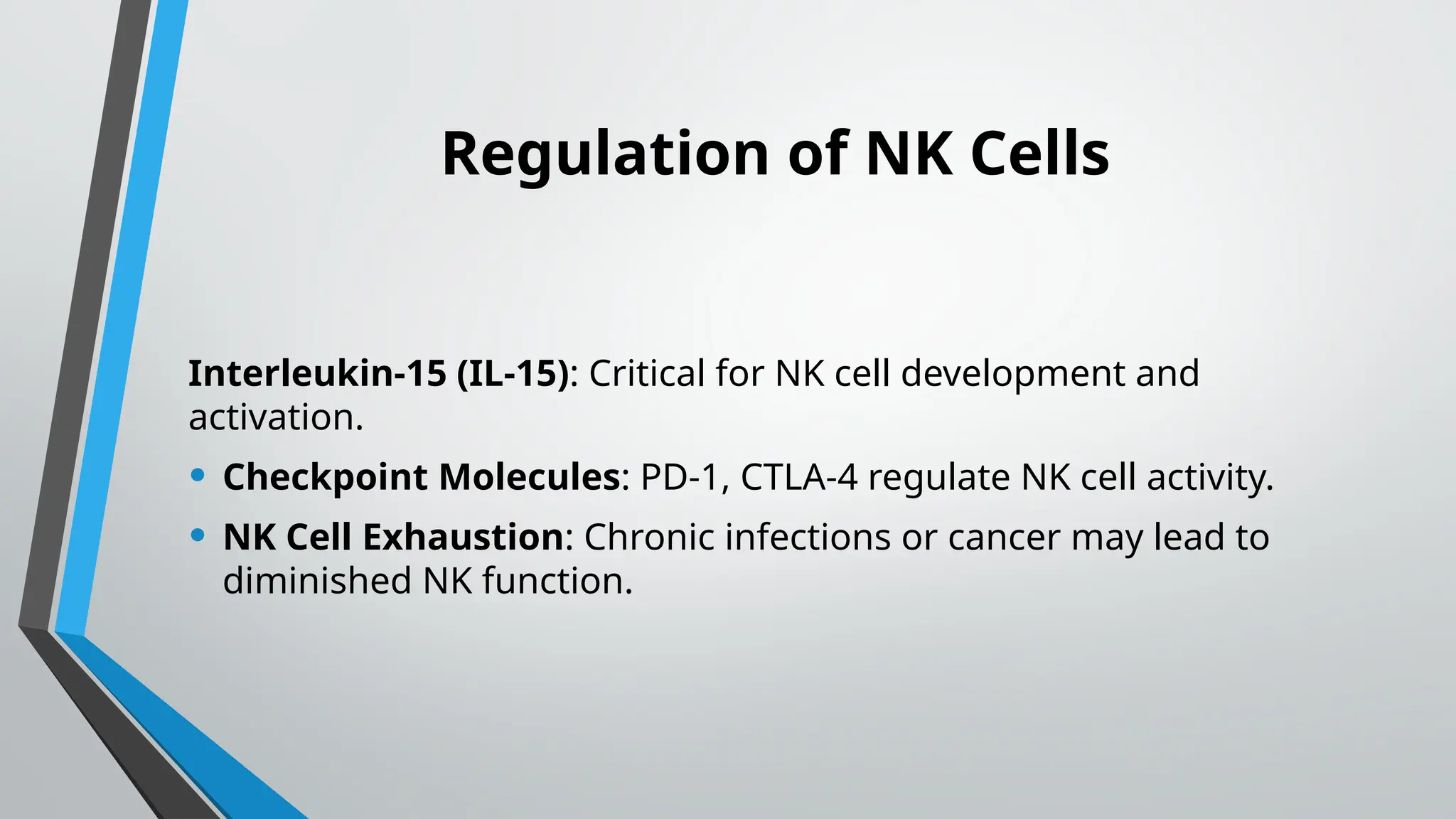Natural Killer Cells (NK Cell).pptx immunology | PPTX