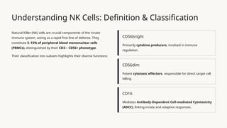 Natural Killer Cells (NK Cells): Biology, Viral Immunity, and ...