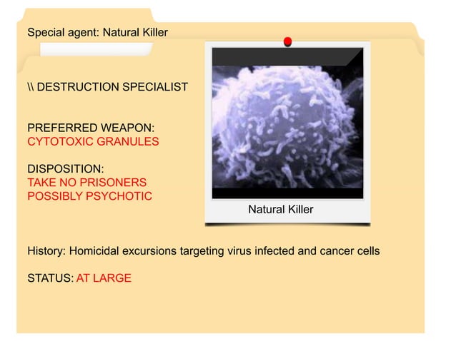 Natural Killers: The story of Cytotoxic T-cells, Vigilante Warriors of ...