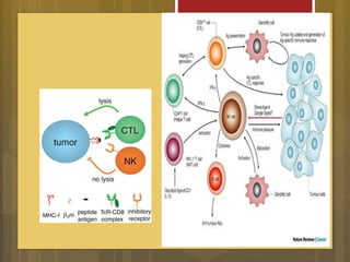 Natural killers | PPT