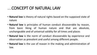 Natural Law Definition Science