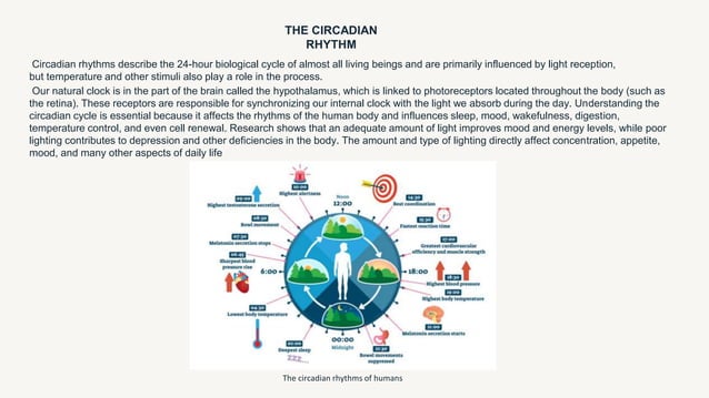 Natural Lighting Effect on Human.pptx | Eye and Vision Conditions ...