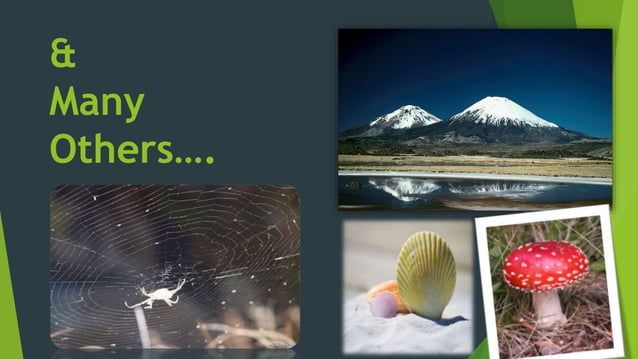 Natural Structure & Manmade Structures; By CUET-CE'15 | PPT