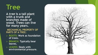 Natural Structure & Manmade Structures; By CUET-CE'15 | PPT