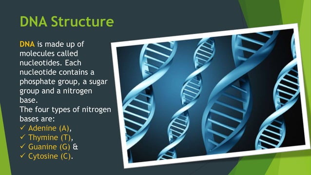 Natural Structure & Manmade Structures; By CUET-CE'15 | PPT