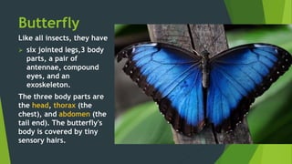 Natural Structure & Manmade Structures; By CUET-CE'15 | PPT