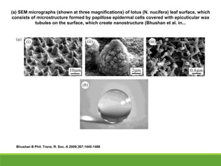 Natural nanomaterials | PDF