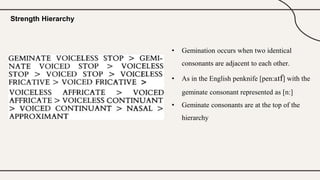 Naturalness & Strength.pptx