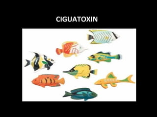 Natural Occurring Chemicals | PPT