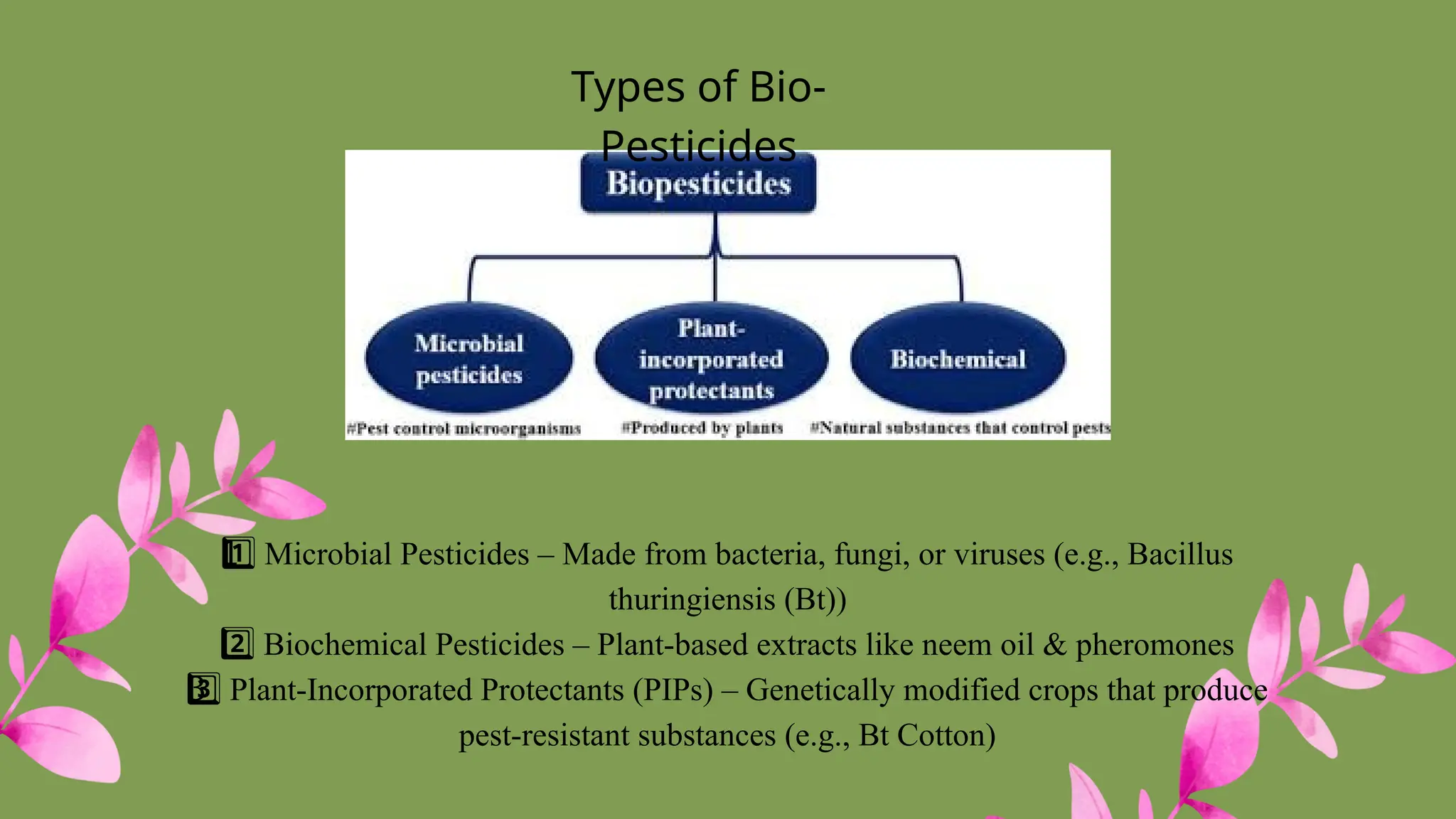 Introduction to Bio-Pesticides: A Sustainable Approach to Pest Control.pptx