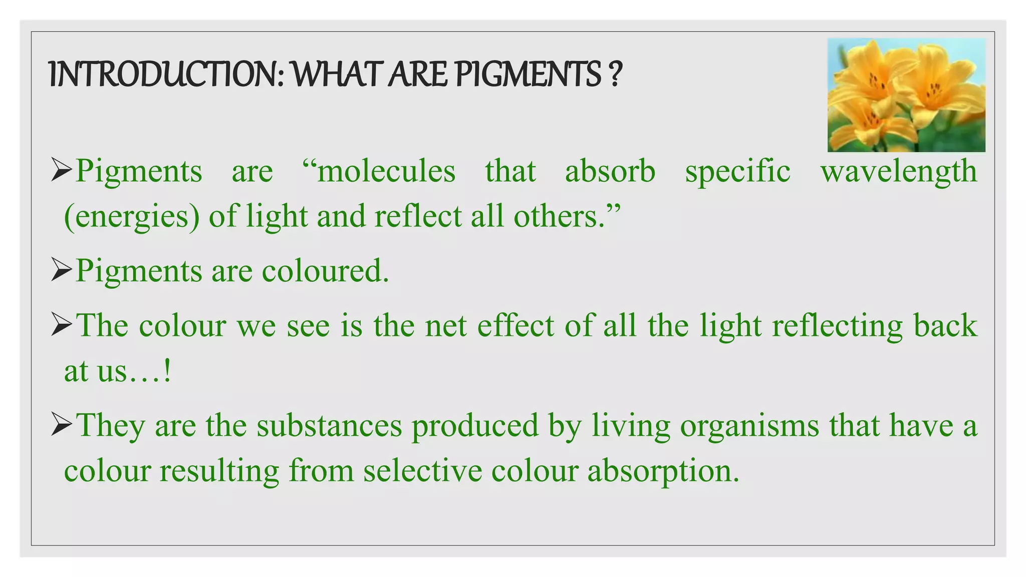 Natural Pigments.pptx