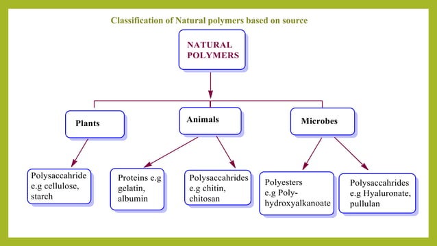 Natural polymers and adsorption properties | PPTX | Chemistry | Science